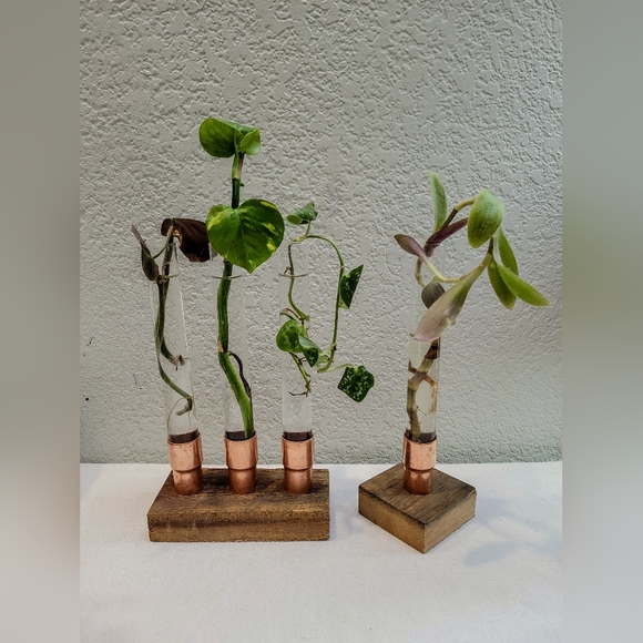 Accents | Reclaimed Wood Propagation Station Set | Poshmark